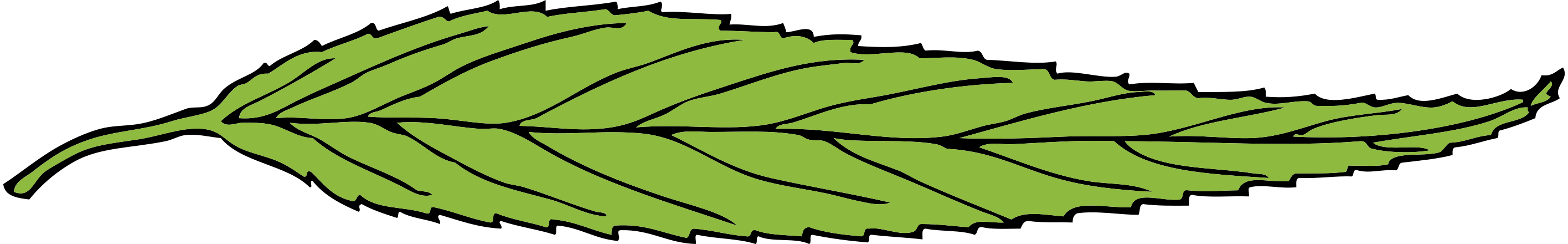 Lanceolate Leaf Clip Art Image - ClipSafari