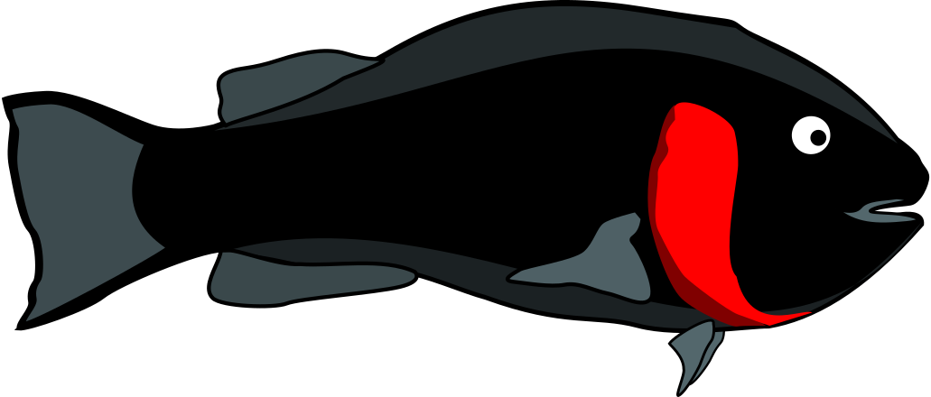 A Black Fish Clip Art Image - ClipSafari