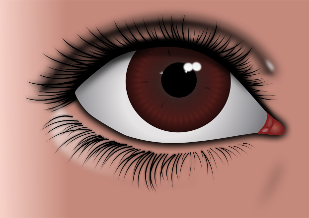 Eye Close Up Clip Art Image - ClipSafari