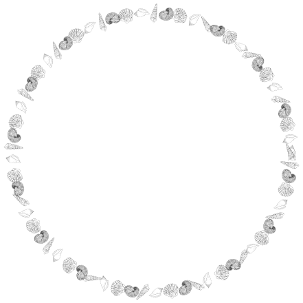 Round Shells Frame Clip Art Image - ClipSafari