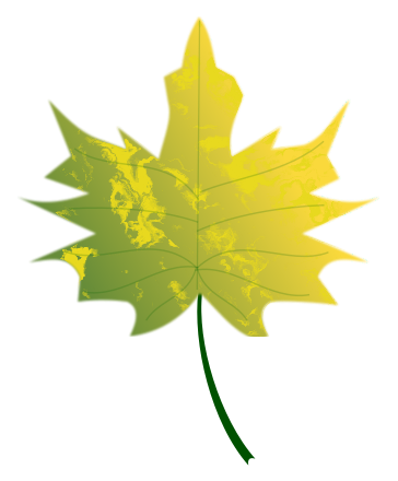 Yellow Leaf Clip Art Image - ClipSafari