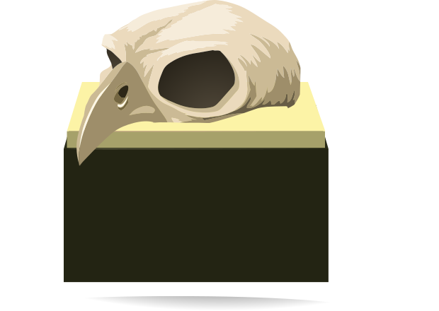 Skull Deco Box Clip Art Image - ClipSafari