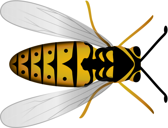 Yellow Jacket Wasp Clip Art Image - ClipSafari