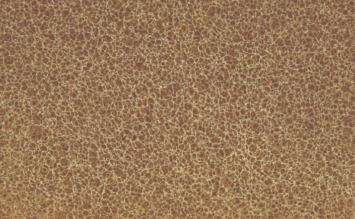 Brown Background Clip Art Image - ClipSafari