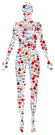 Medical Icons Human Body Clip Art Image - ClipSafari