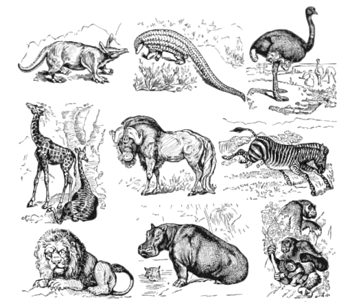 Animal Drawings Clip Art Image - ClipSafari
