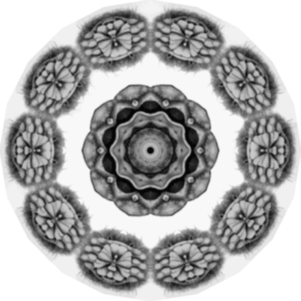 Circle of Life Clip Art Image - ClipSafari