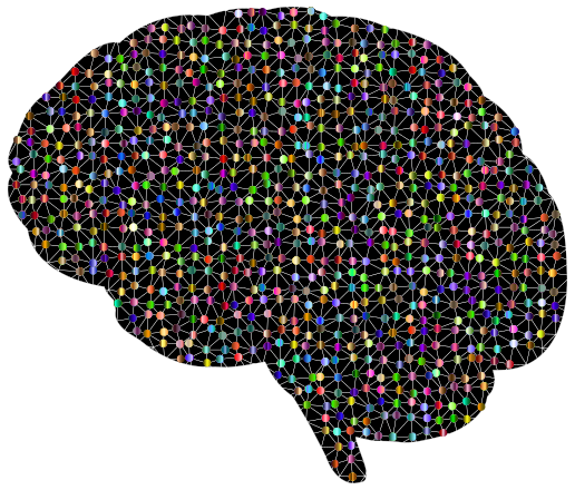 Colorful Brain Clip Art Image - ClipSafari