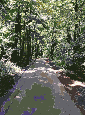 Forest Path Clip Art Image - ClipSafari