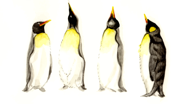 Penguins in a row. Clip Art Image - ClipSafari