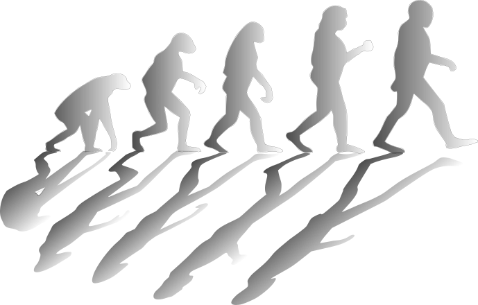 Human Evolution Clip Art Image - ClipSafari