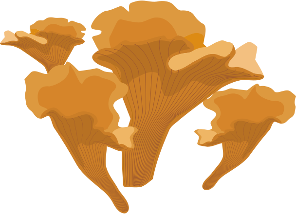 Mushrooms Clip Art Image - ClipSafari