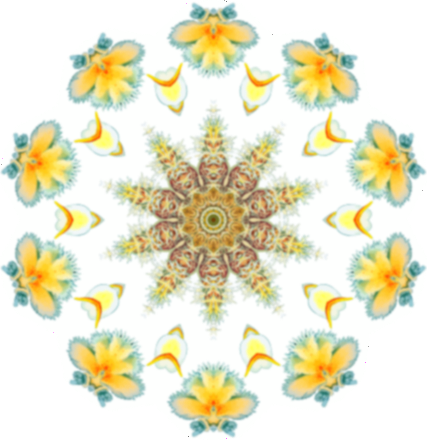 Flower Pattern Clip Art Image - ClipSafari