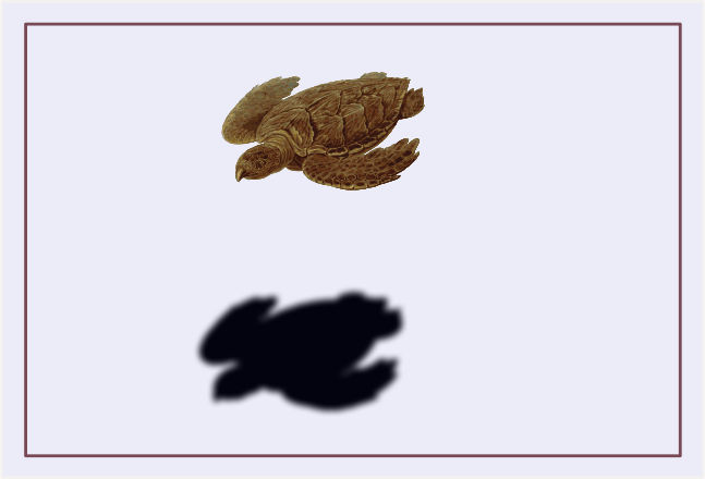 Turtle Shadow Clip Art Image - ClipSafari