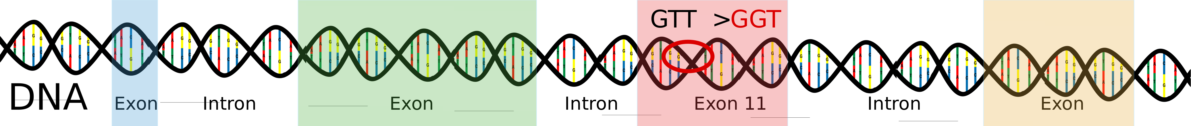 DNA Mutation Clip Art Image - ClipSafari