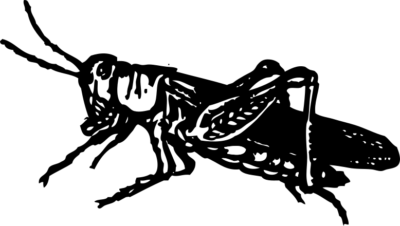 Insect Clip Art Image - ClipSafari