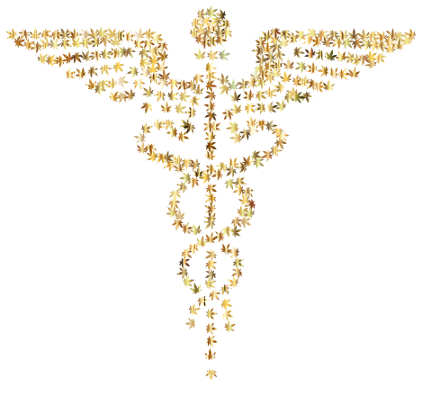 Gold Star of Life Clip Art Image - ClipSafari