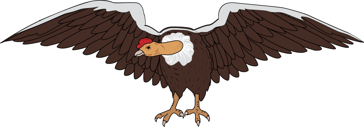 Brown Condor Clip Art Image - ClipSafari