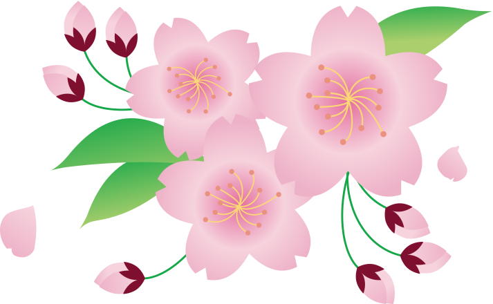 Pink Sakura Flower Clip Art Image - ClipSafari