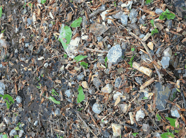 Rocks on the ground Clip Art Image - ClipSafari