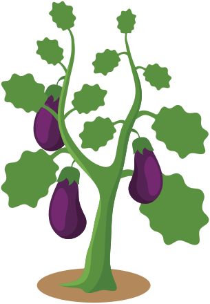 Eggplant Tree Clip Art Image - ClipSafari