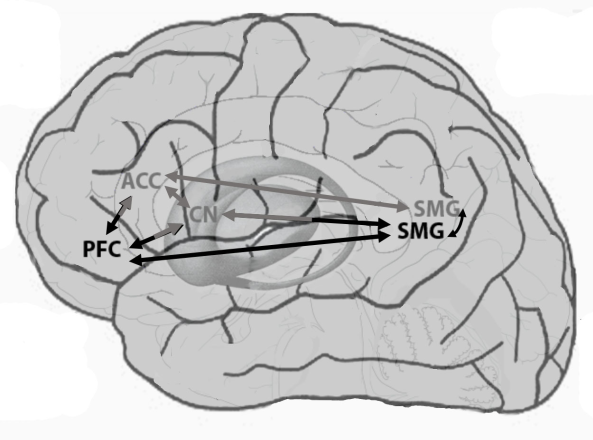 Brain Wiring Diagram Clip Art Image - ClipSafari