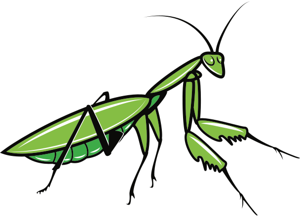 Green Praying Mantis Clip Art Image - ClipSafari