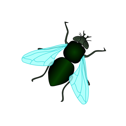 Green House Fly Clip Art Image - ClipSafari