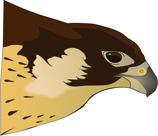 Falcon Head Clip Art Image - ClipSafari
