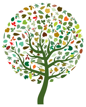 Tree with Leaves Clip Art Image - ClipSafari