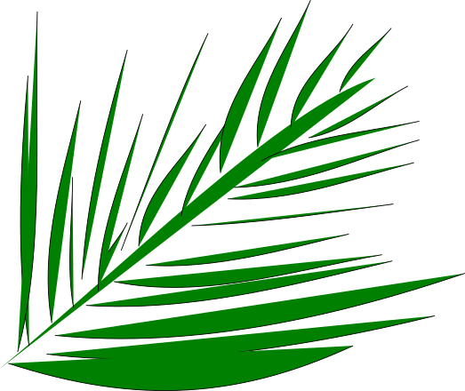 Palm Leaf Clip Art Image - ClipSafari