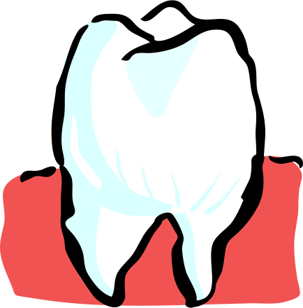 Tooth Clip Art Image - ClipSafari