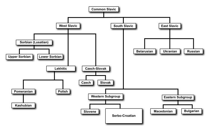 Slavic Language Tree Clip Art Image - ClipSafari