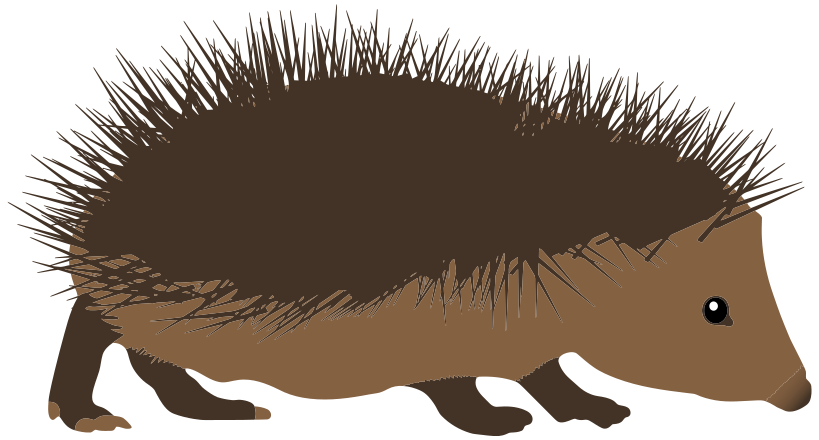Hedgehog Clip Art Image - ClipSafari