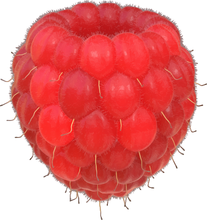 Red Raspberry Clip Art Image - ClipSafari