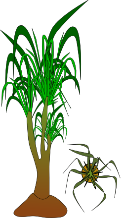 Tree with spider Clip Art Image - ClipSafari