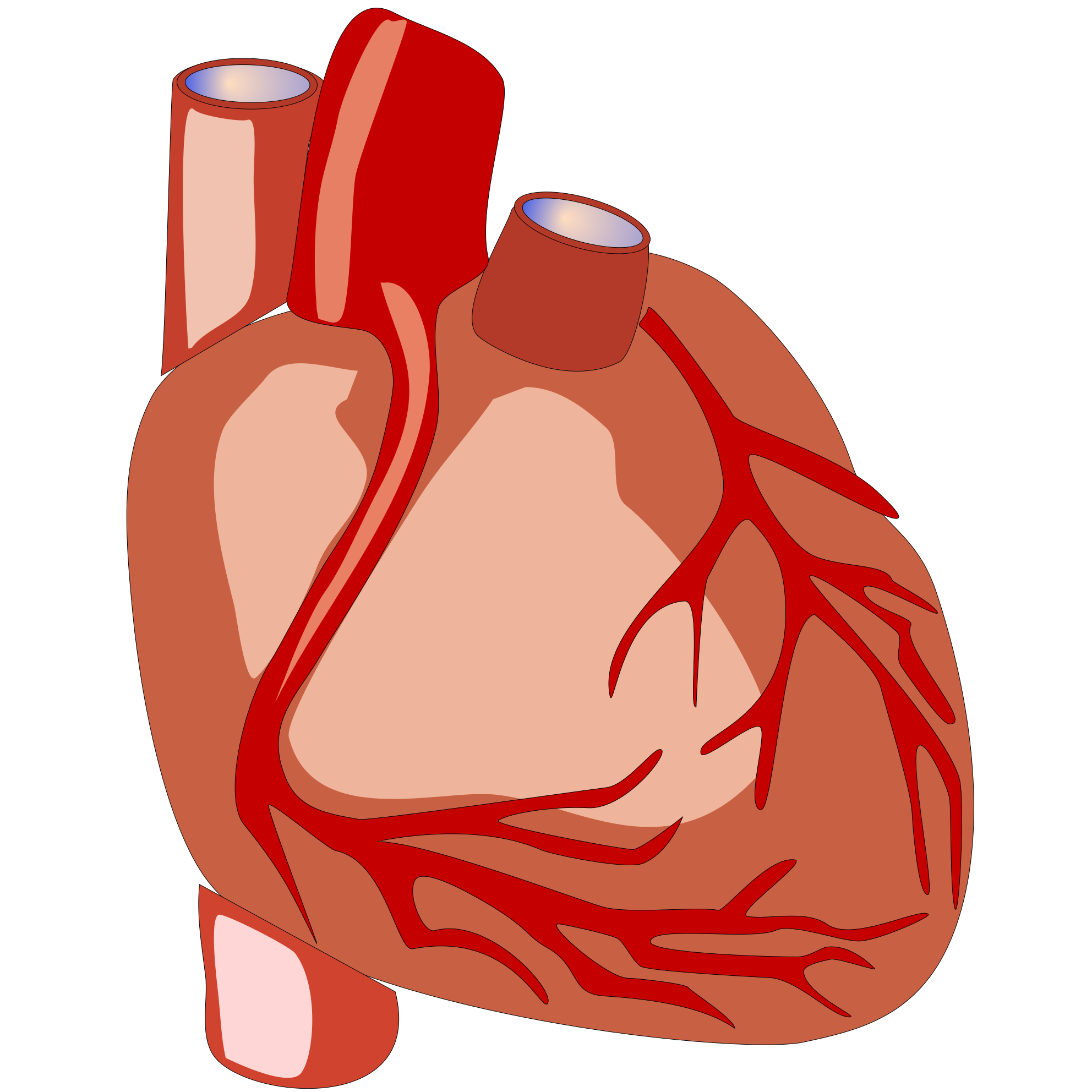 Realistic Human Heart Clip Art Image ClipSafari