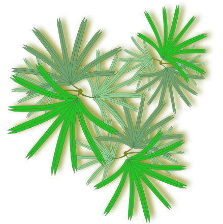 Palm Leaves Clip Art Image - ClipSafari