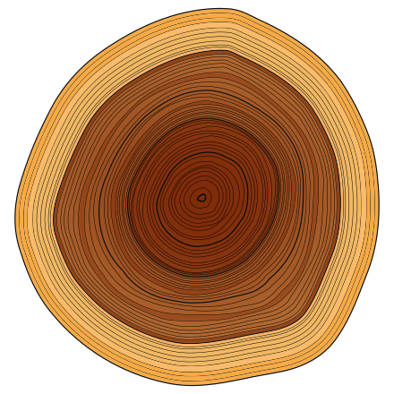 Log Rings Clip Art Image - ClipSafari