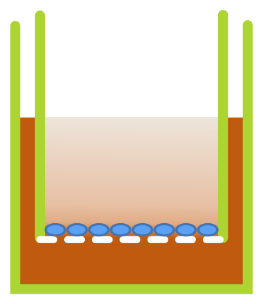 Transwell Clip Art Image - ClipSafari