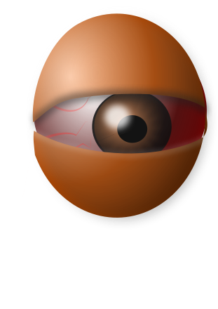 Eye Ball Clip Art Image - ClipSafari