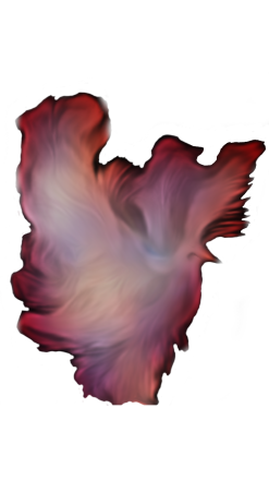 Burned Cloth Clip Art Image - ClipSafari