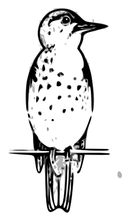 Black and White Bird Clip Art Image - ClipSafari