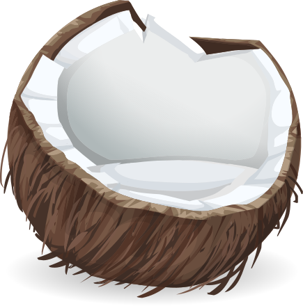 Open Coconut Clip Art Image - ClipSafari