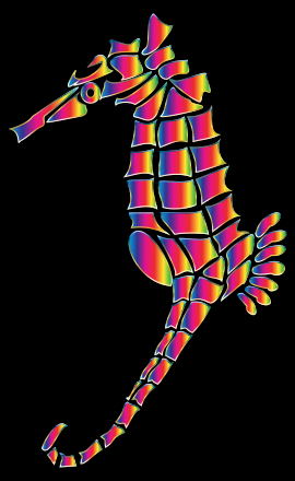 Rainbow Seahorse Clip Art Image - ClipSafari