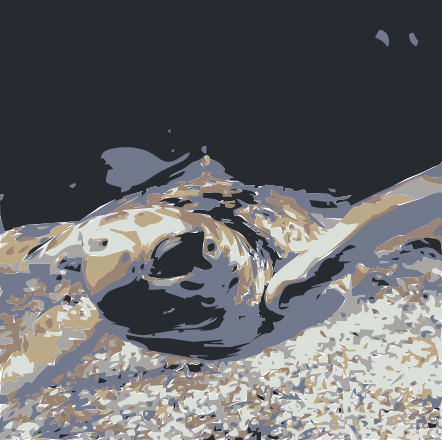 Sea Turtle in Sand Clip Art Image - ClipSafari